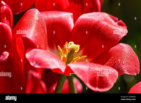 Nasse Windel Fotos Und Bildmaterial In Hoher Auflösung Alamy