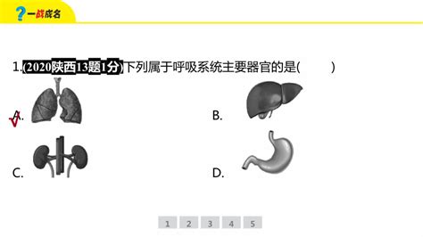 主题五 人体生理与健康 命题点10 人体呼吸系统的组成和功能（精练册课件） 【一战成名】2023陕西中考生物新中考新方案中考总复习 21世纪教育网