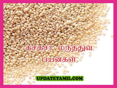 கசகசா பயன்கள் Kasa Kasa Health Benefits In Tamil Update Thamizha சித்த மருத்துவம்