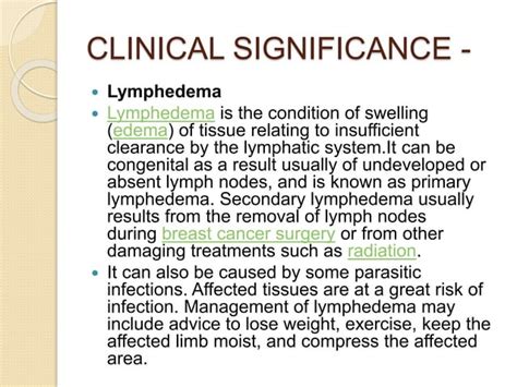 Presentation On Lymph Node Ppt