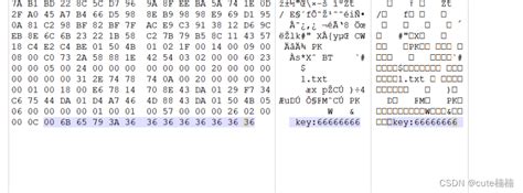 第一届“长城杯”信息安全铁人三项（四场）部分题目wp长城杯wp Csdn博客