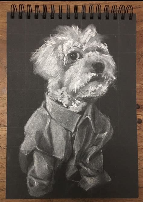 Mr Bean Asserting Himself Rspicykittens