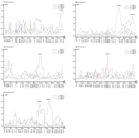 Genes Free Full Text Identification Of Qtls Controlling α Glucosidase Inhibitory Activity In
