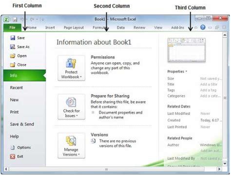 The Backstage View In Excel 2010