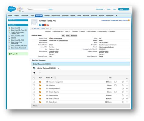 How To Boost Your Salesforce Roi With Opentext Xecm Solution N Ix