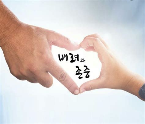 존중 배려 좋은 아침 인사 최고의 명언 손글씨 문구