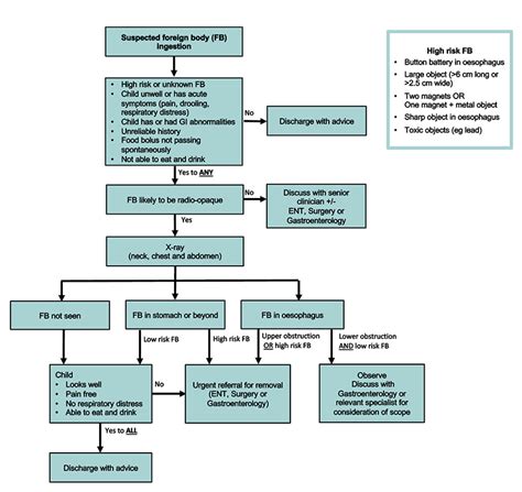 Naspghan Foreign Body