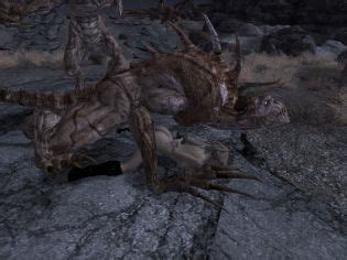 Sexout Fallout New Vegas Sex Screenshots Luscious Hentai Manga Porn