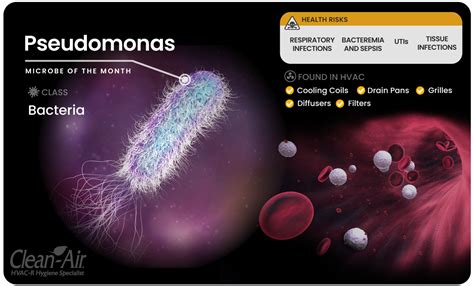 Microbe Of The Month Pseudomonas Clean Air Breathe Easy™