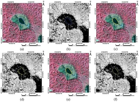 Remote Sensing Free Full Text Object Based Canopy Gap Segmentation