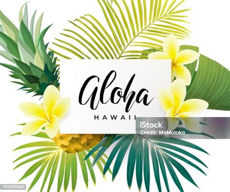 녹색 야자수 잎 플루메리아 꽃 파인애플과 손으로 그린 알로하 비문과 열대 벡터 디자인 여름 하와이 일러스트 0명에 대한 스톡 벡터 아트 및 기타 이미지 Istock