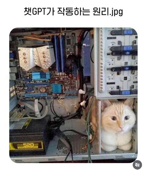 챗gpt가 작동하는 원리