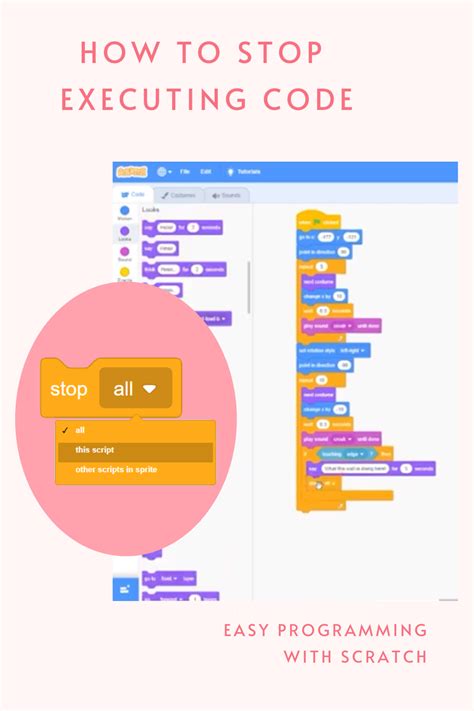 How To Stop Executing Code In Scratch Coding Lessons Programming For