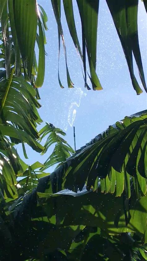 Avian Integrated Company Avianintegrated • Instagram Photos And Videos