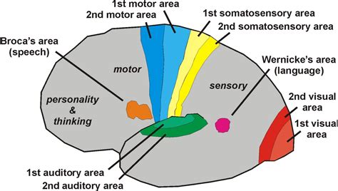 Parts Of A Map And Their Functions