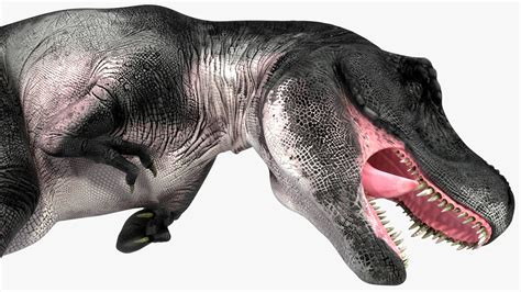 T Rex Sleep Pose 3d Model 149 Max 3ds Blend C4d Fbx Ma Lxo