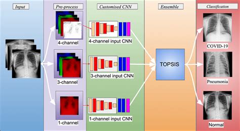 The Pipeline For The Proposed Model Here The Cnn Architecture For All