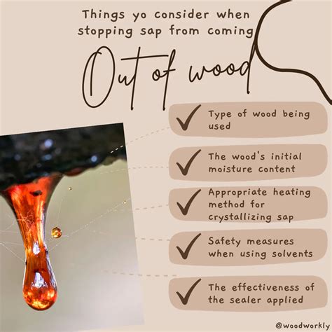 How To Stop Sap From Coming Out Of Wood EASY Steps