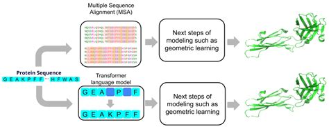 Decoding Protein Structures From Alphafold To Beyond