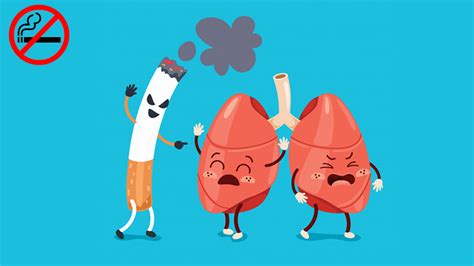 15 მიზეზი რატომ უნდა დაანებოთ თამბაქოს მოწევას თავი დღესვე Netgazeti