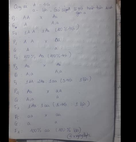Viết Các Sơ đồ Lai P1 Aa X Aa P2 Aa X Aa P3 Aa X Aa P4 Aa X Aa P5 Aa X Aa Câu Hỏi 6347806