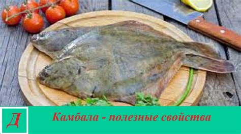Камбала полезные свойства рыбы Youtube