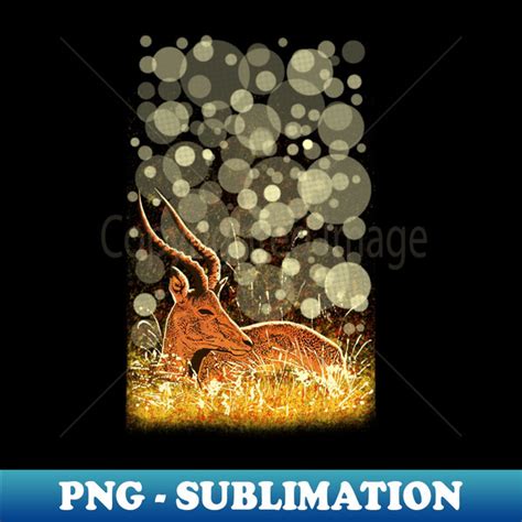 Shine Premium Sublimation Digital Download Stunning Subl Inspire