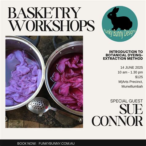 Introduction To Botanical Dyeing Extraction Method M Arts Precinct