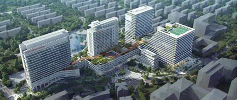 心系自然，守护健康：中国医学科学院阜外医院深圳医院三期工程建设统筹规划及设计方案 项目 全院 建筑