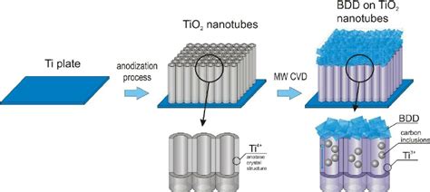Formation Scheme Of Composite Tio 2 Nanotubes Boron Doped Diamond Download Scientific Diagram