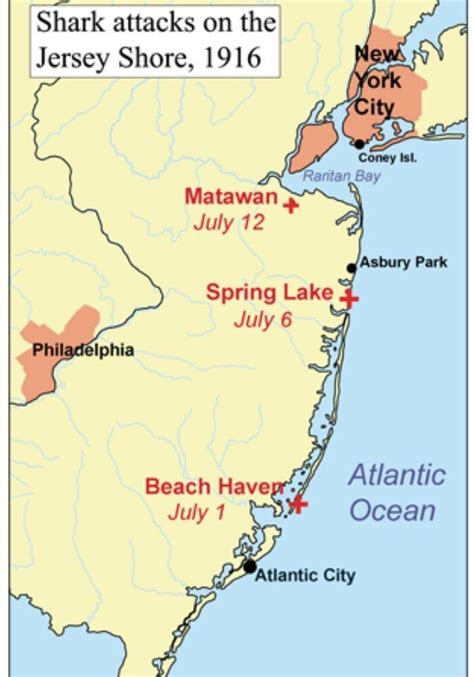 The Forgotten Bloodbath That Created Americas Shark Obsession Jersey