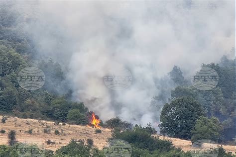 Седем пожара в сухи треви и отпадъци на територията на Пернишко са регистрирани през почивните