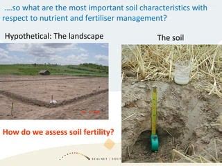 Key Soil Fertility Analyses PPT
