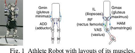 Figure 1 From Session 1 2 Biped 1 15 Running Motion In A