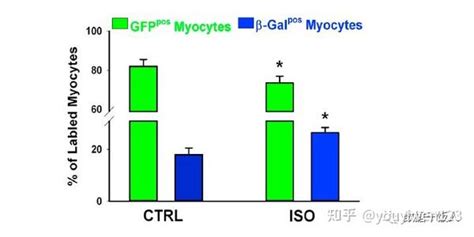 可视化分析：瀑布图的使用场景及实现原理 知乎
