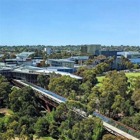 选择留学澳大利亚迪肯大学的十个理由 知乎