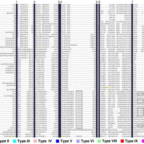 multiple sequence alignment of the putative mature brnsltp