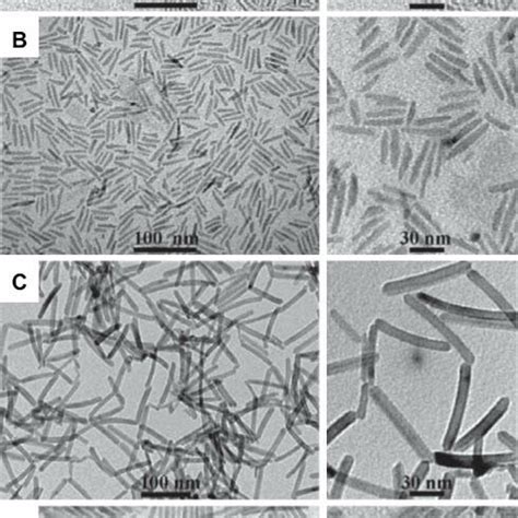 TEM Images Of TiO2 Nanorods Prepared By A Surfactant Assisted Download Scientific Diagram