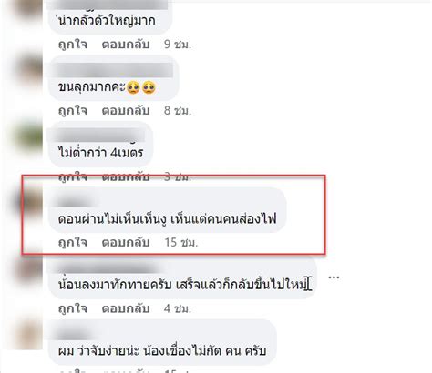 สาวผวางยกษ โผลหอยตวลงมาจากตนไม ขบรถผานเกอบพนคอ