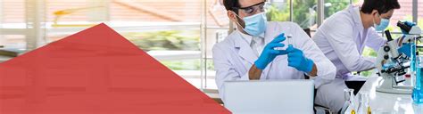 Biomedical Engineering Programs Adypu