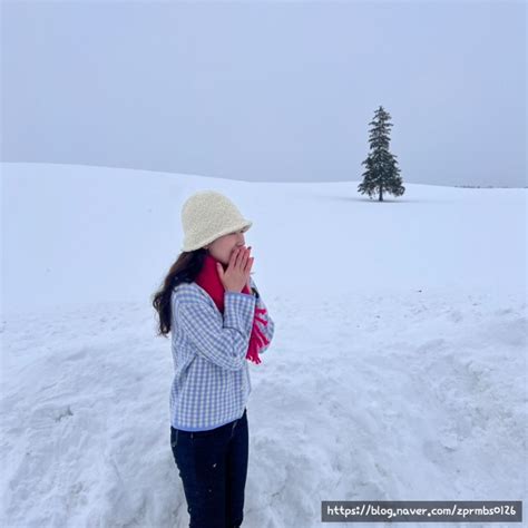 ️일본 북해도 여행 2일차 흰수염폭포 비에이 푸른연못 비에이 패치워크로드 세븐스타나무 노면전차 동구리빵집 야끼니꾸 삿포로 로이톤호텔 청유투어 ️