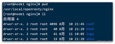 保姆级教程手把手安装openresty openresty安装 csdn博客