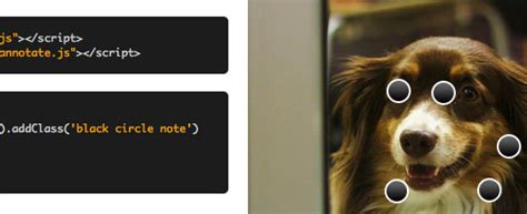10 Jquery Plugins And Techniques For Doing More With Images Web