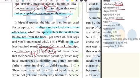 2023년 수능완성 영어 15강 3번 Youtube