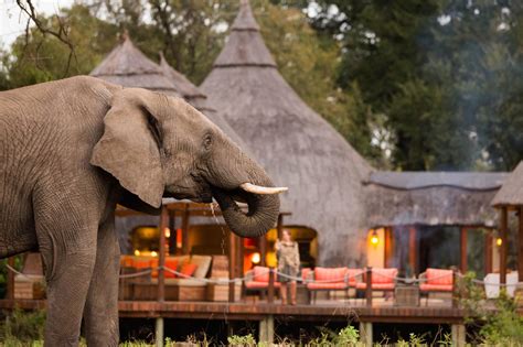Luxury African Safari Packages
