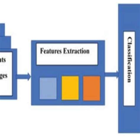 Basic Flowchart For The Detector And Classifier Download Scientific Diagram