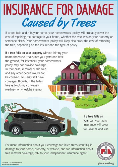 Damage Caused By Trees Harris Insurance Agency Inc