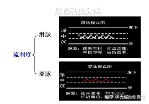 大梆小课堂脉象分类与主病三虚脉 实脉篇 知乎