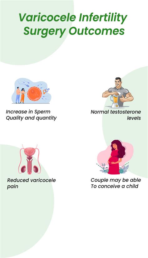 Varicocele And Infertility The Connection Between Varicocele And