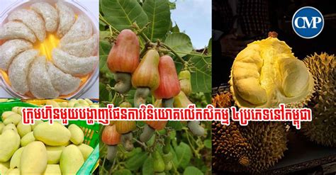 ដំណឹង ល្អ ក្រុមហ៊ុន Csnc Agriculture Co Ltd មានបំណង វិនិយោគ លើវិស័យ កសិកម្ម កម្ពុជាដើម្បីកែច្នៃ